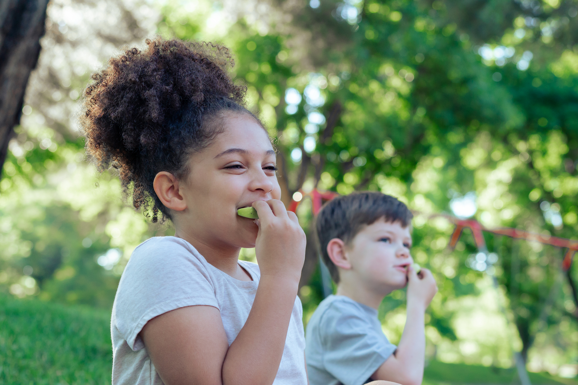 K-12/C&U - Arctic Apples